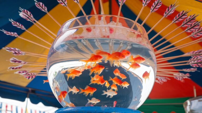 Carnival Game Ideas: Fun & Creative Activities for All Ages