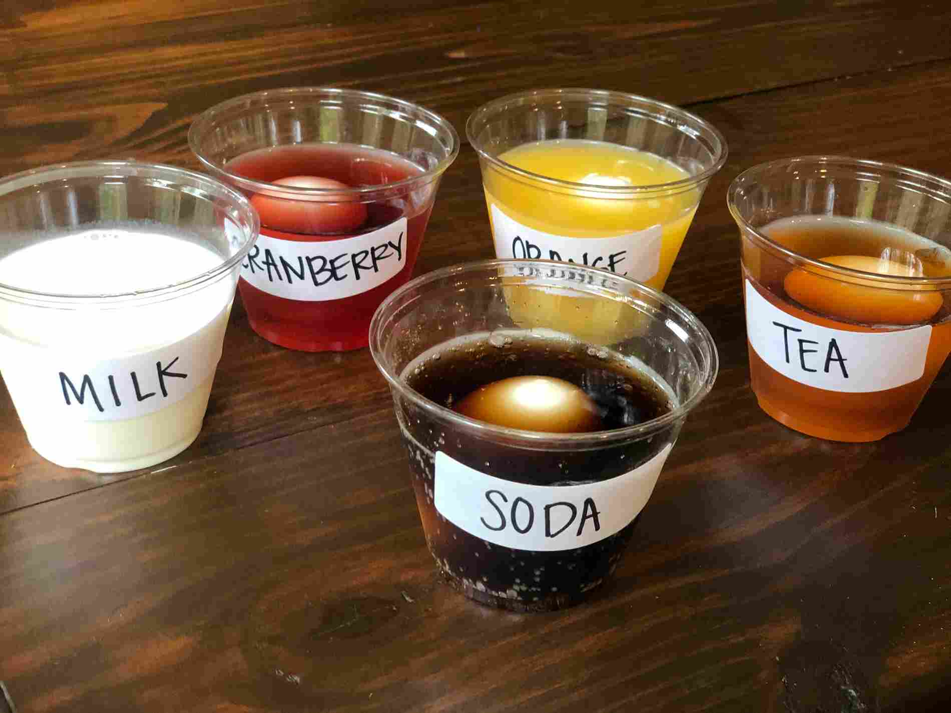 Science Fair Ideas: Fun & Creative Project Guide