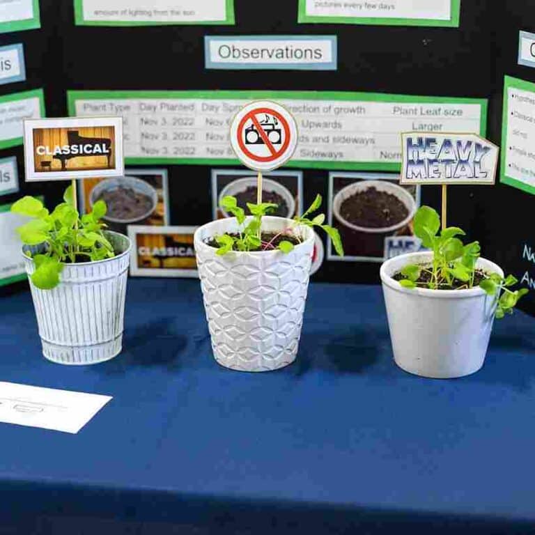 Science Fair Ideas: Fun & Creative Project Guide