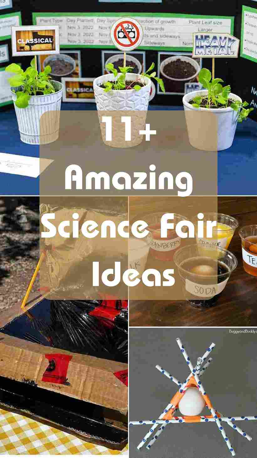 Science Fair Ideas: Fun & Creative Project Guide
