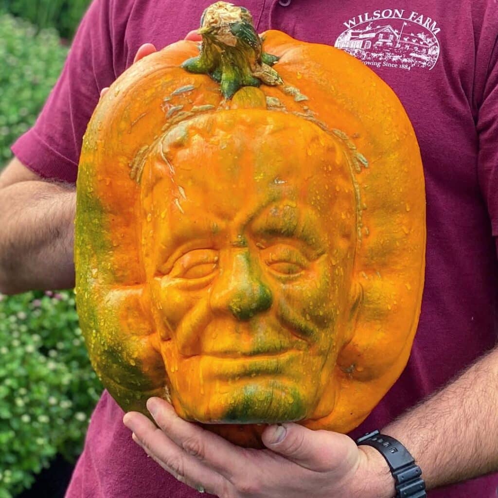 Pumpkin Face Ideas: Fun & Spooky Carving Styles