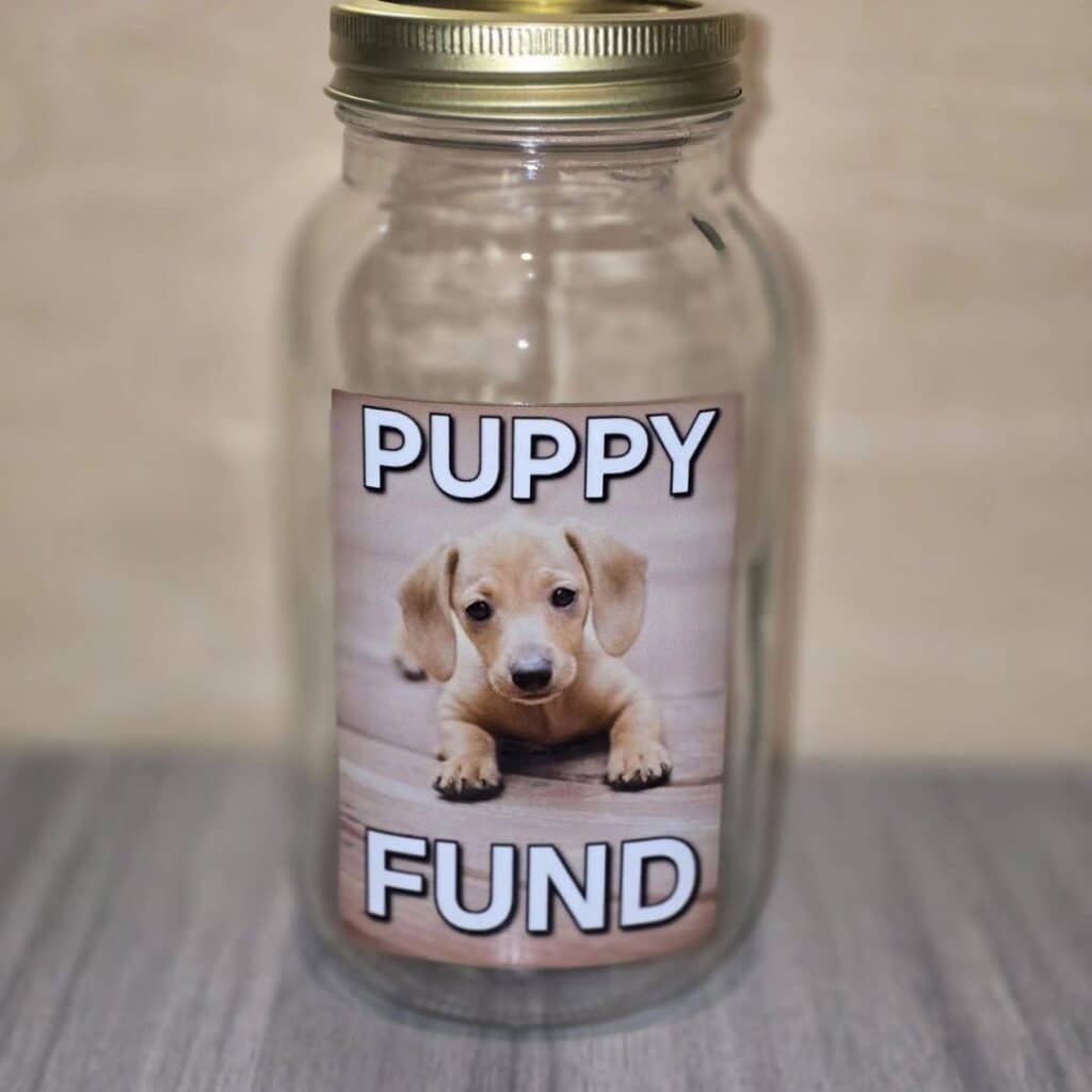 Tip Jar Ideas – Fun & Creative Tipping Solutions