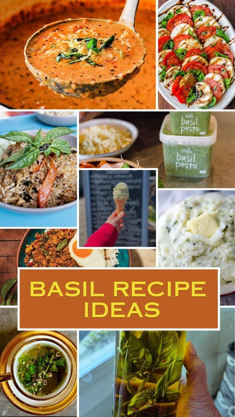 Basil Recipe Ideas: Fresh Flavors for Every Meal