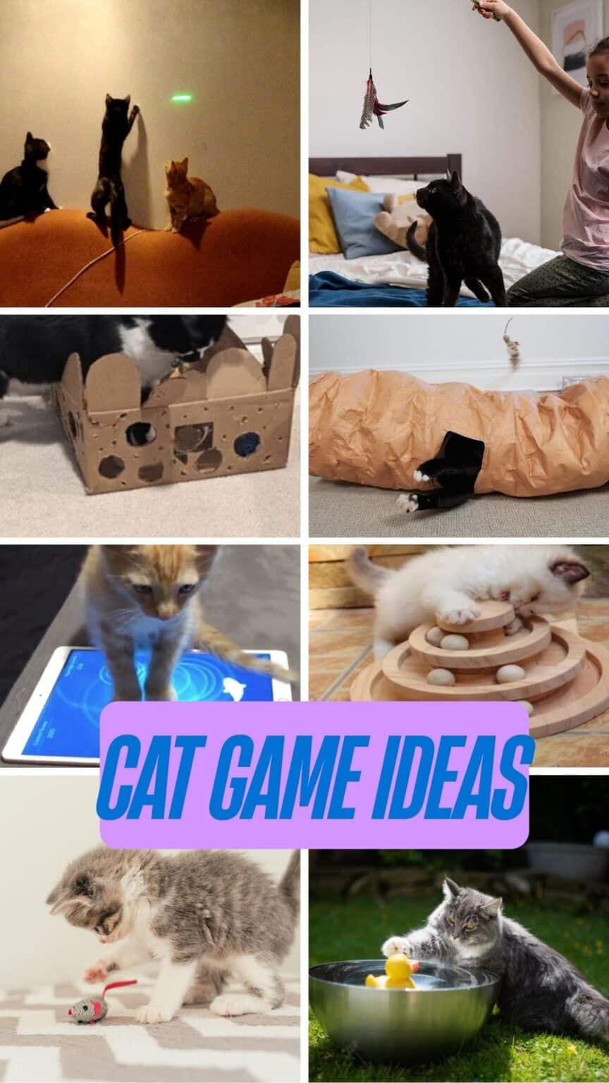 Cat Game Ideas: Fun Activities for Your Pet