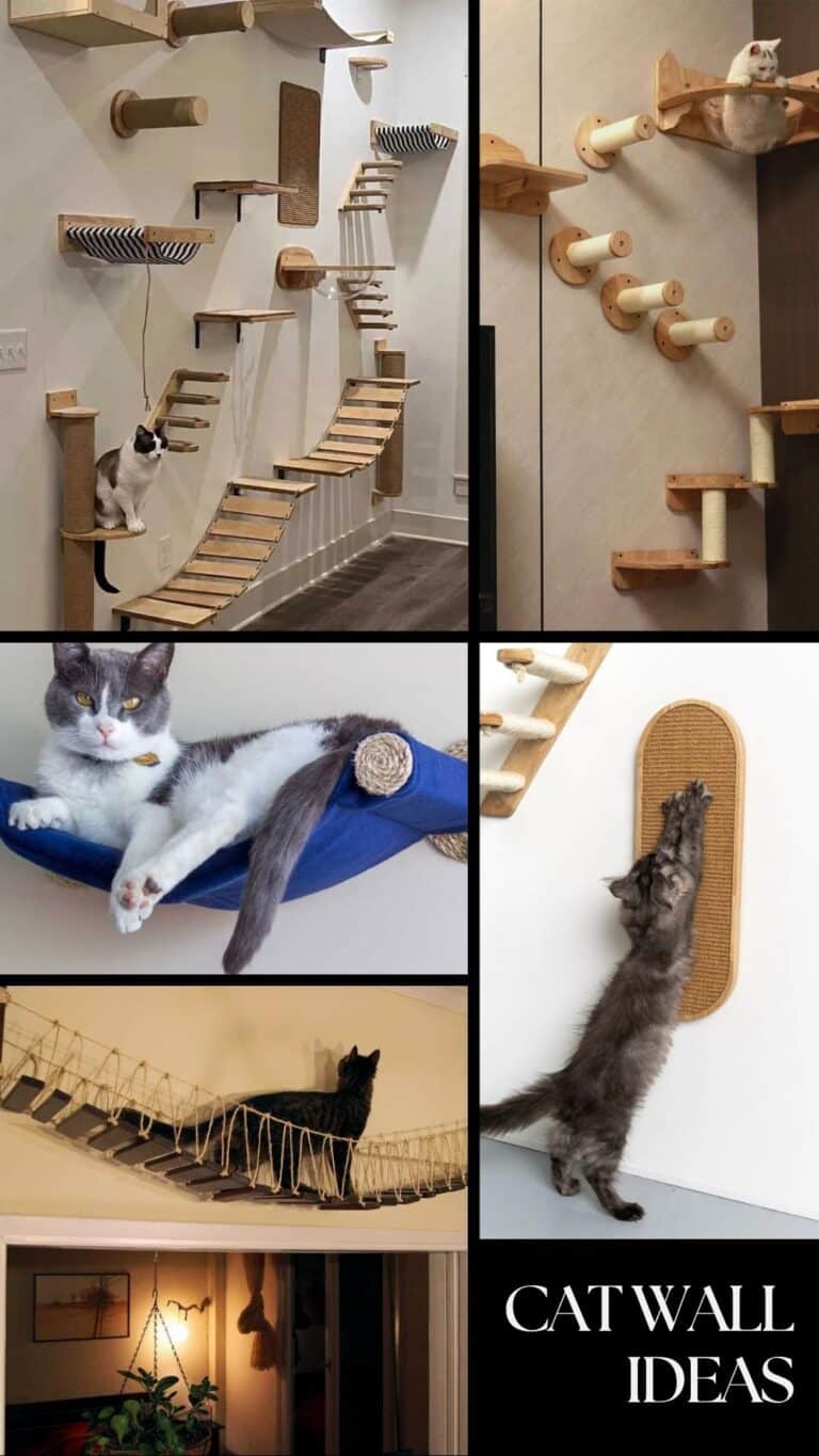 Cat Wall Ideas: Stylish Spaces for Your Pet