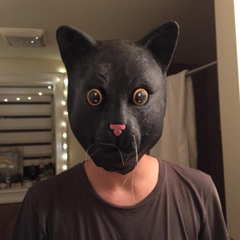 Cat Mask Ideas – Creative and Fun Designs