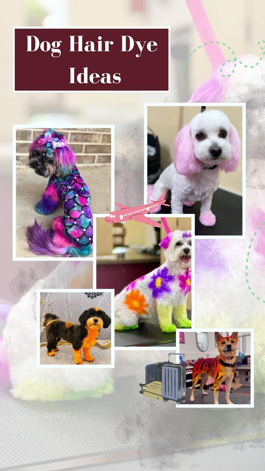 Dog Hair Dye Ideas: Creative & Safe Styles