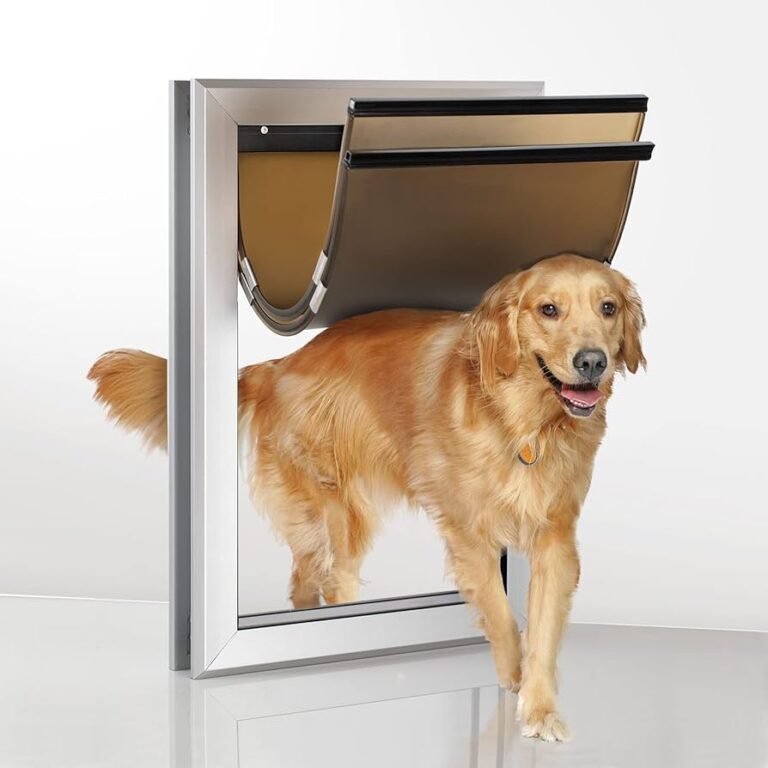 Doggy Door Ideas: Easy Access for Your Pets