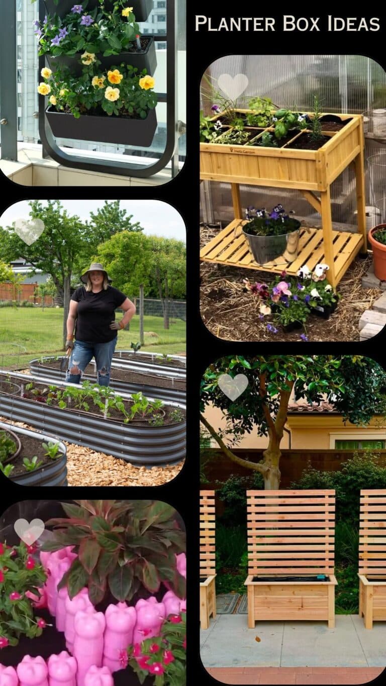 Planter Box Ideas – Stylish Garden Box Inspiration