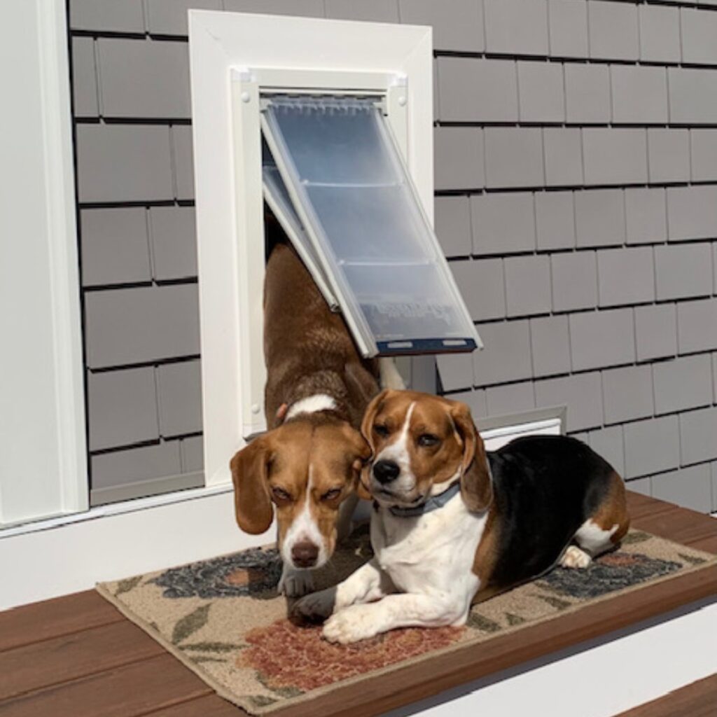 Doggy Door Ideas: Easy Access for Your Pets