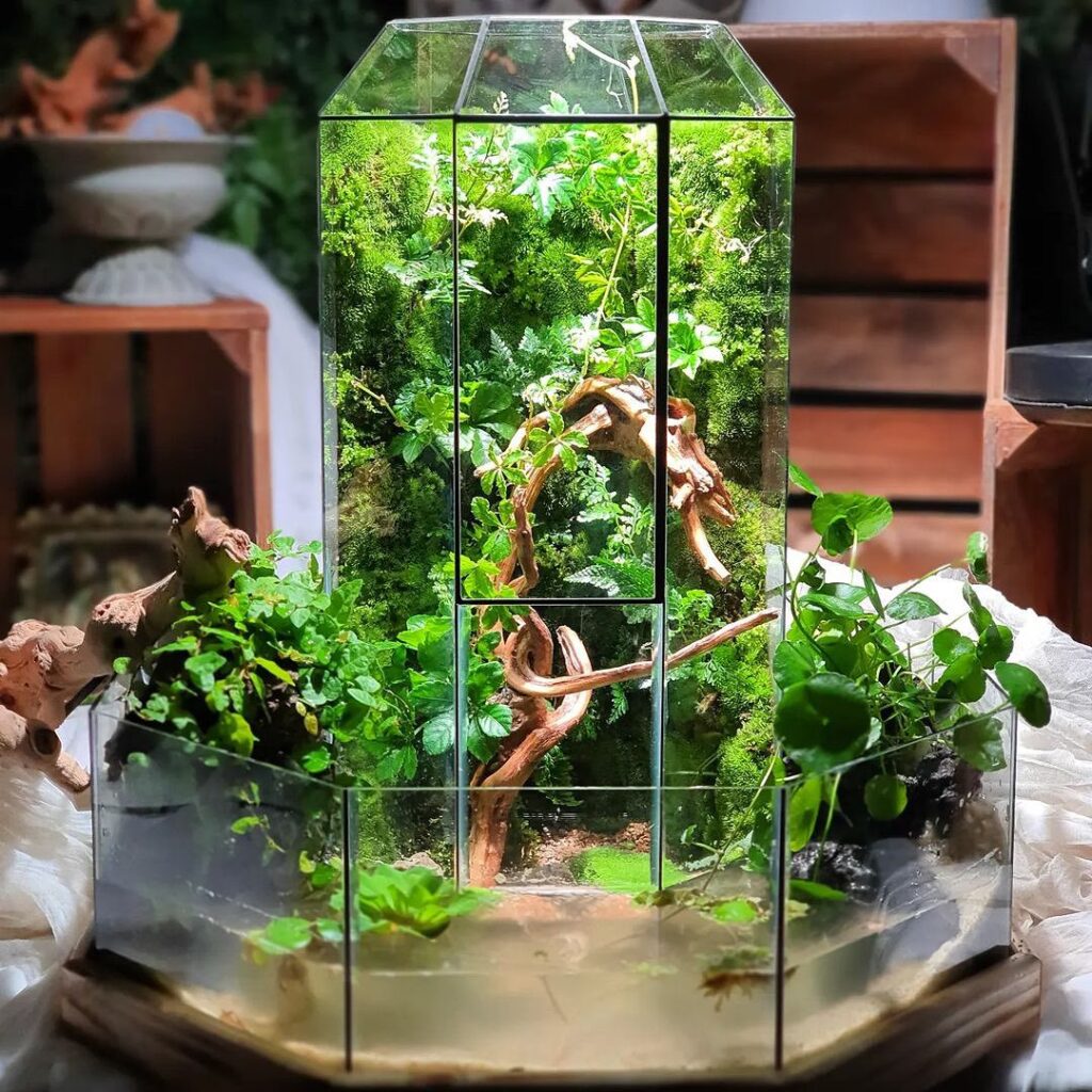 Terrarium Ideas: Unique Mini Gardens for Home Décor