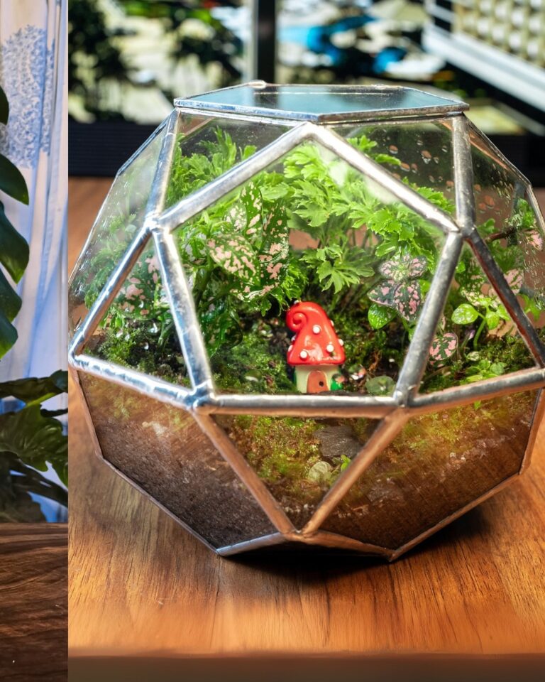 Terrarium Ideas: Unique Mini Gardens for Home Décor