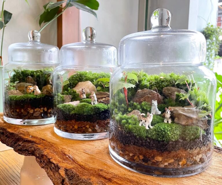 Terrarium Ideas: Unique Mini Gardens for Home Décor