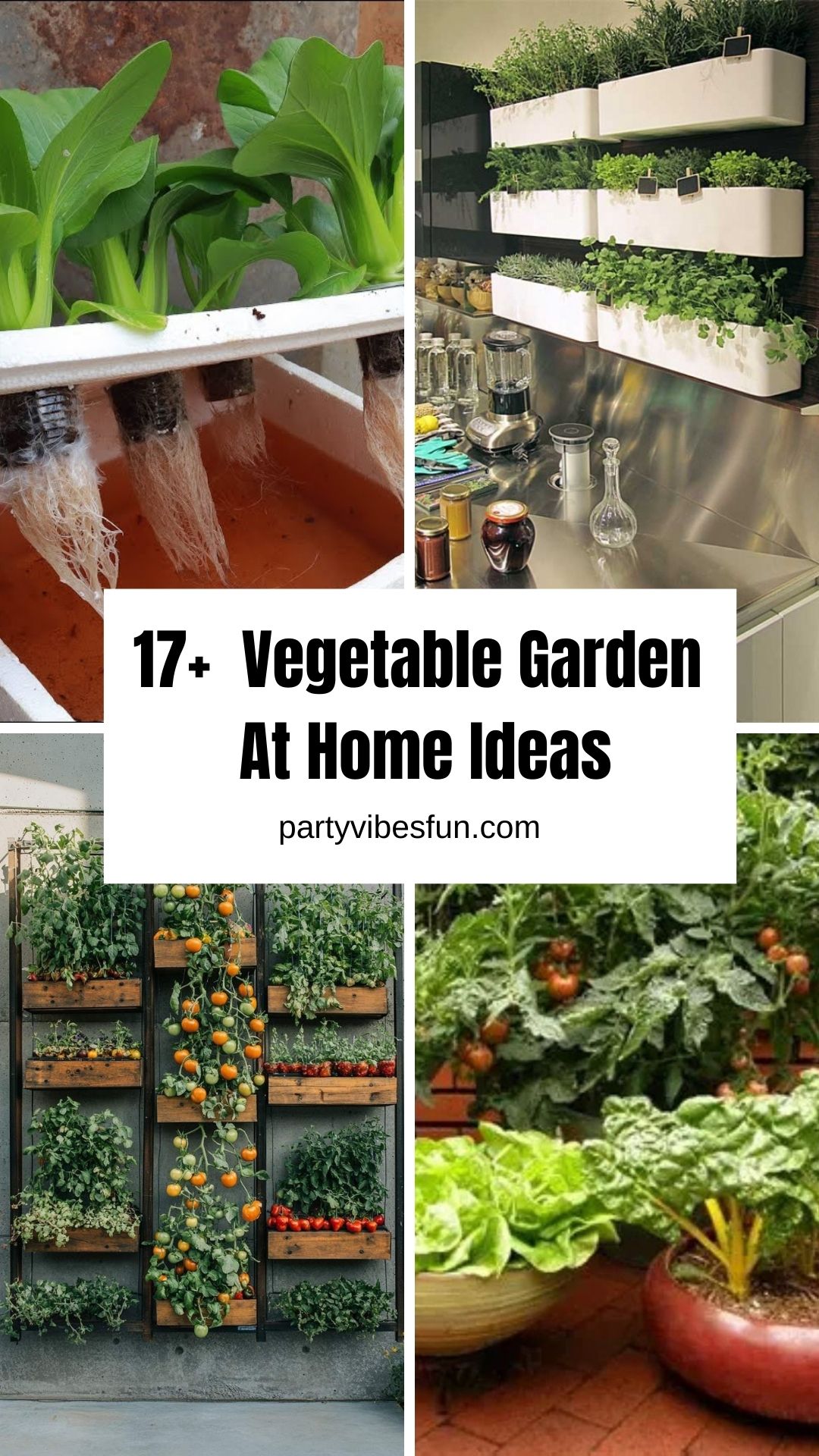 Vegetable Garden At Home – Easy Growing Guide